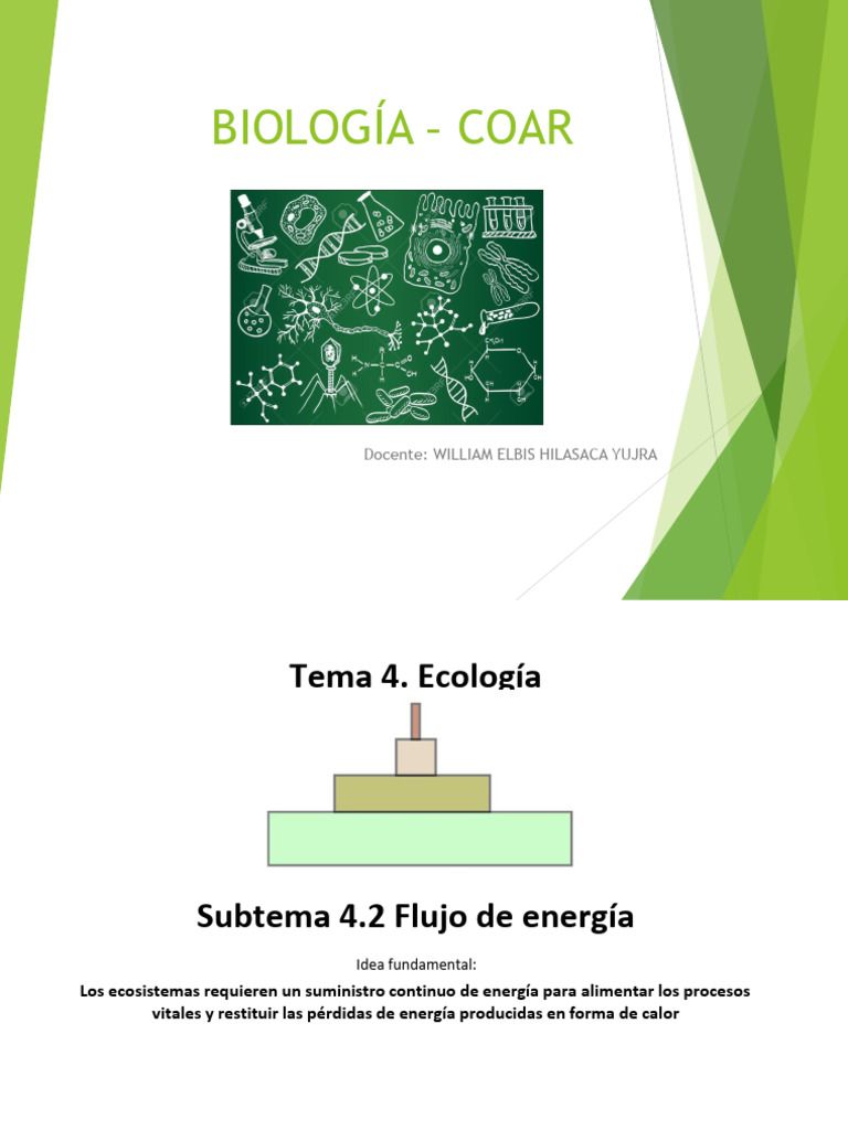 ECOLOGIA FLUJO DE ENERGIA | PDF | Red alimentaria | Biomasa (Ecología)