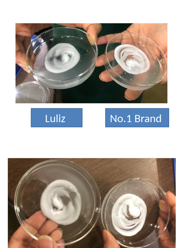 Luliz Petric Dish Demo | PDF