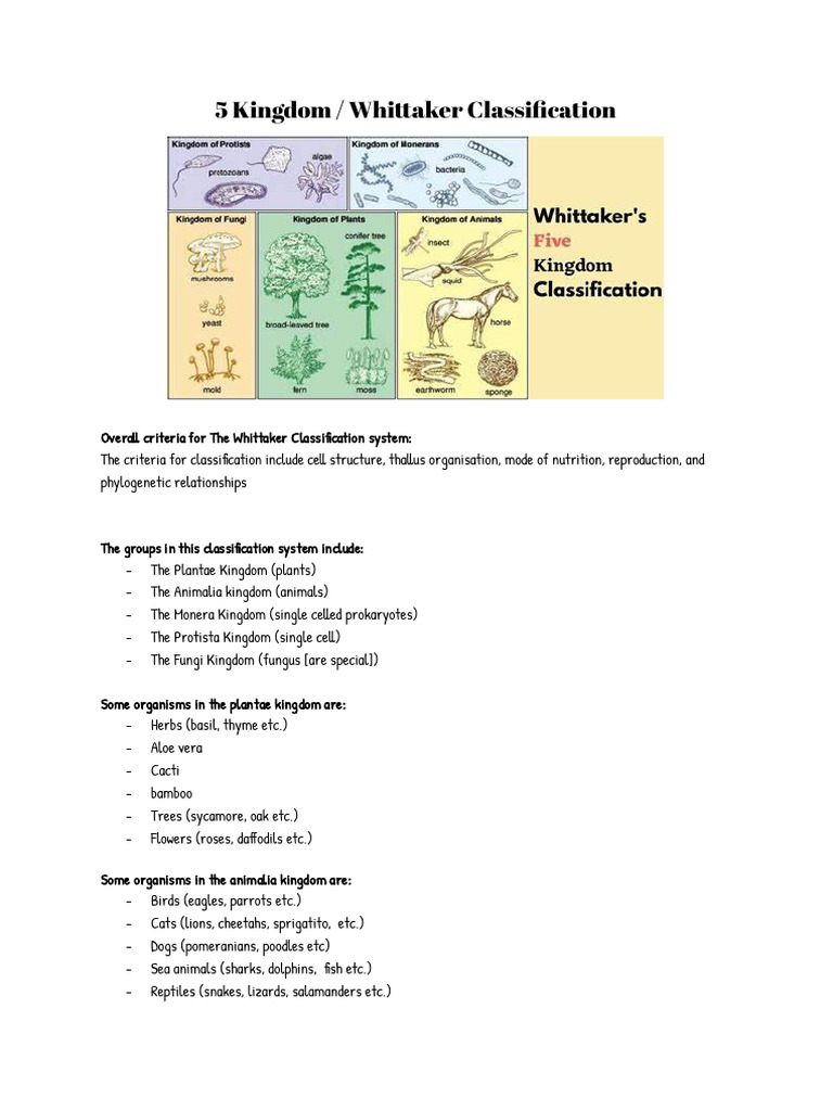 5 Kingdom - Whittaker Classification | PDF