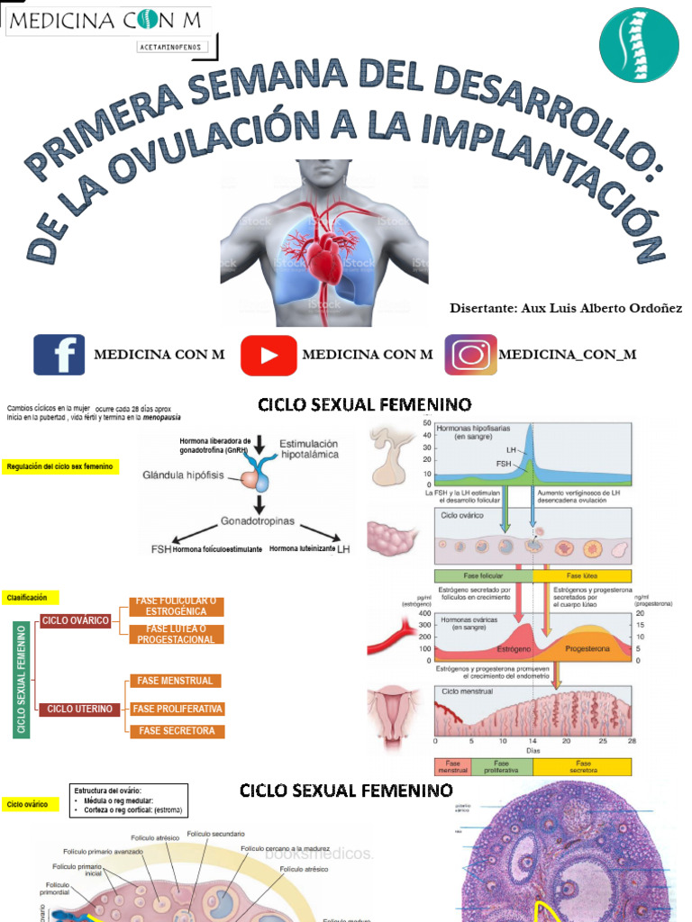 Ciclo Sex Femenino Fecun 1ra Semana | PDF | Ciclo menstrual | Hormona ...