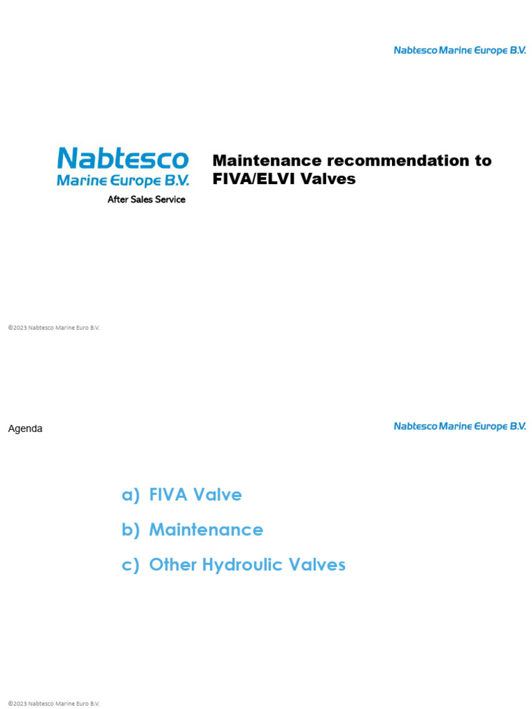 Maintenance Recommendation To FIVA Valves | PDF | Valve | Propulsion