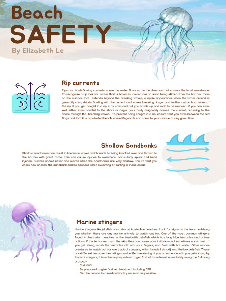 Beach Safety - Elizabeth Le | PDF