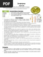 Generalidades de Esporozoarios | PDF | Anatomía | Biología