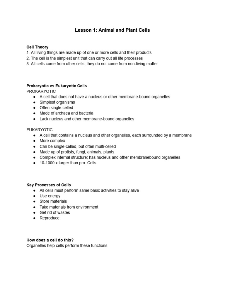 Animal and Plant Cell Basics | PDF | Cell (Biology) | Endoplasmic Reticulum