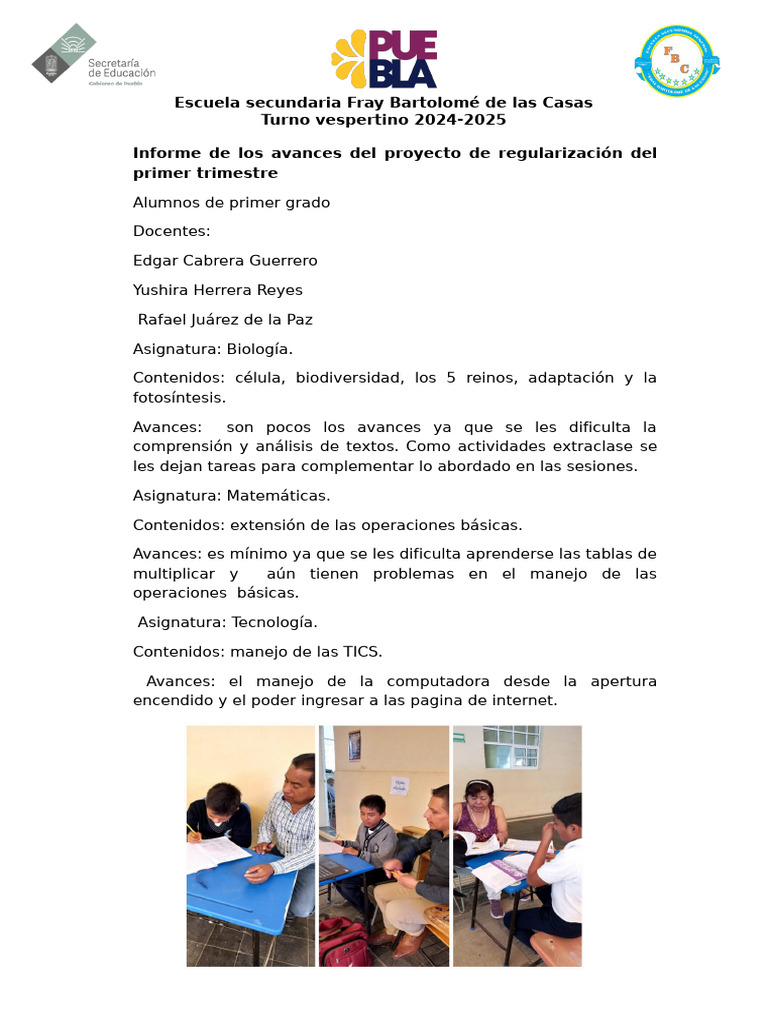 Reporte de Avances Primer Trimestre Regularizacion | PDF