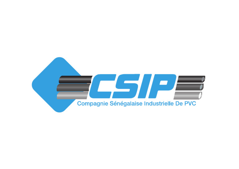 Logo Csip | PDF