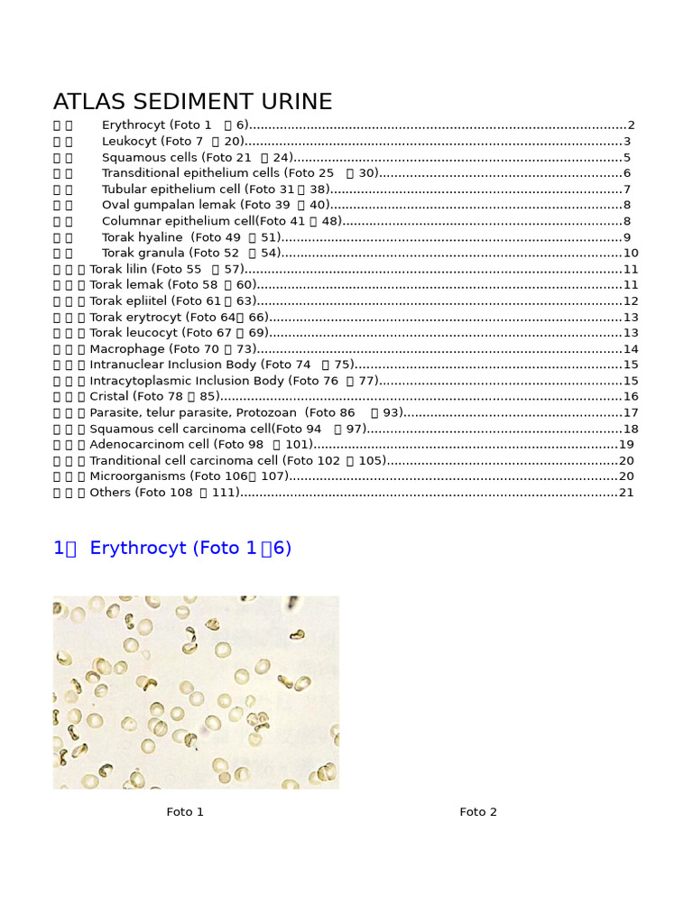 Atlas Urine Sediment | PDF