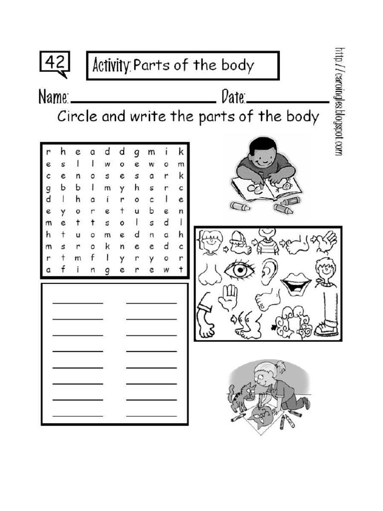 Sopa de Letras Del Cuerpo | PDF