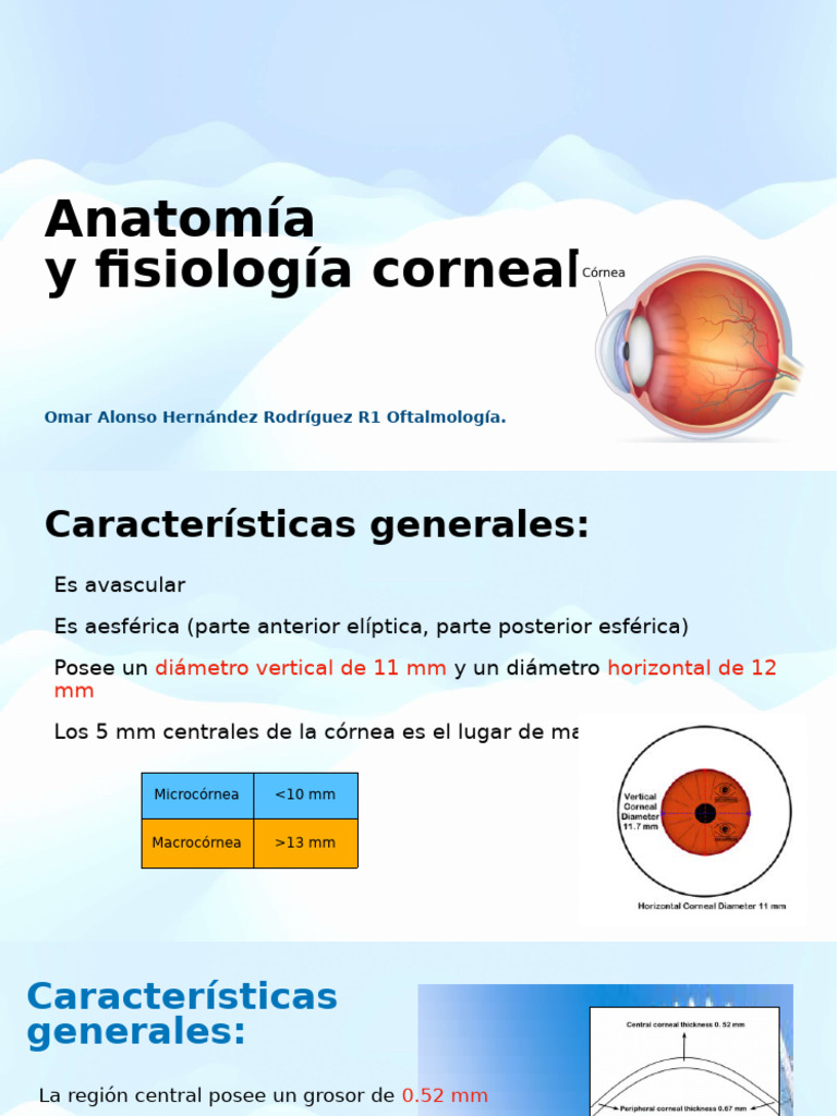 Anatomia y Fisiologia Corneal | PDF | Córnea | Epitelio