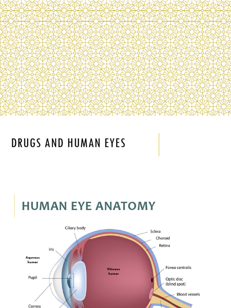 Lab 2 -eyes | PDF | Glaucoma | Ophthalmology