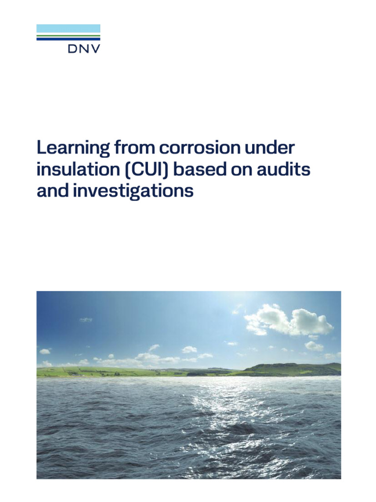 Learning From Cui Based on Audits and Investigastions | PDF | Learning ...