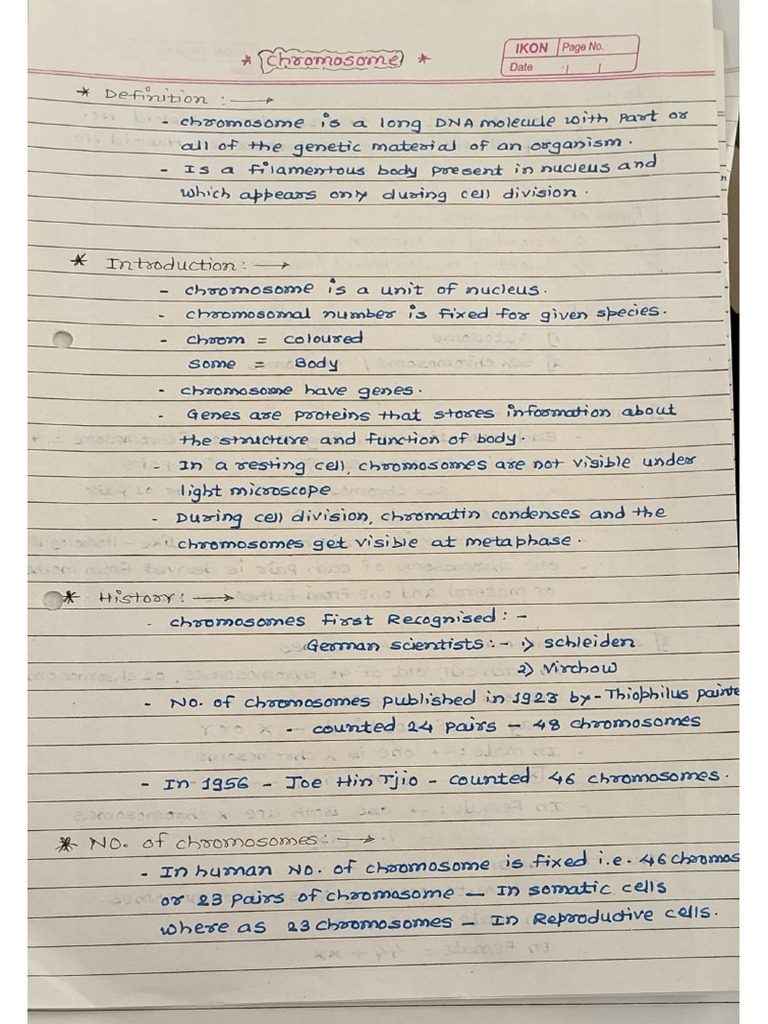 Chromosome Handwritten Notes | PDF