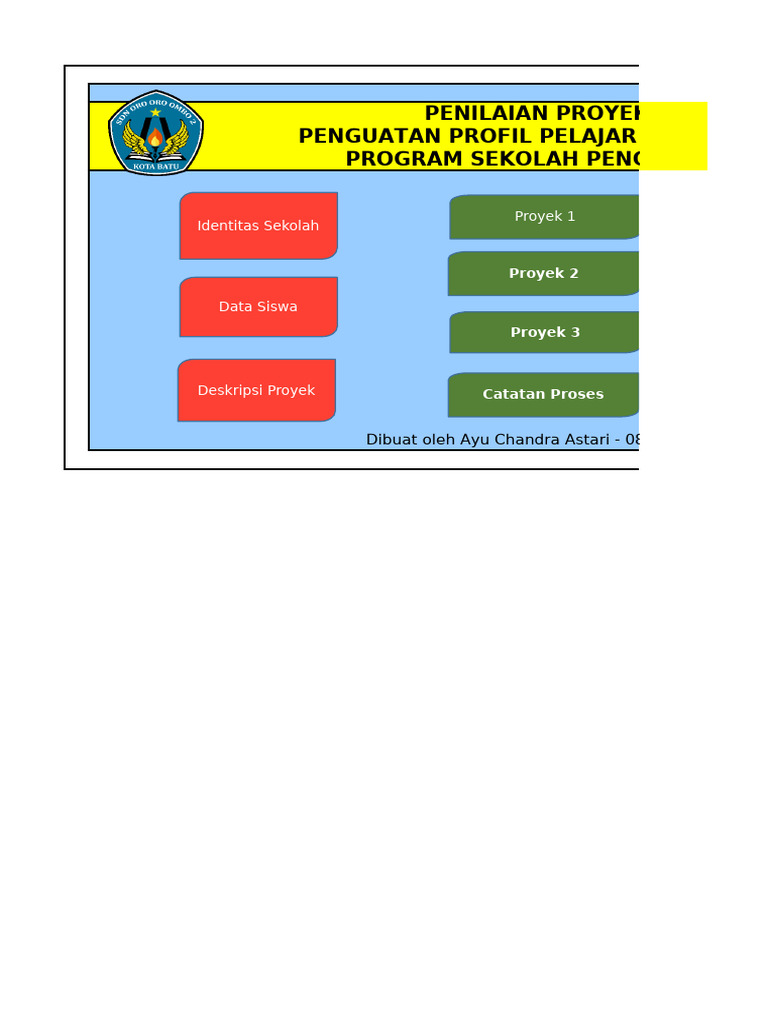 Raport P5 2024 | PDF