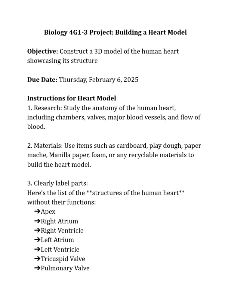 3D Human Heart Model Project Guide | PDF