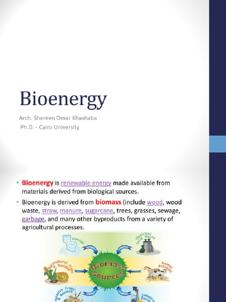 Bioenergy | PDF