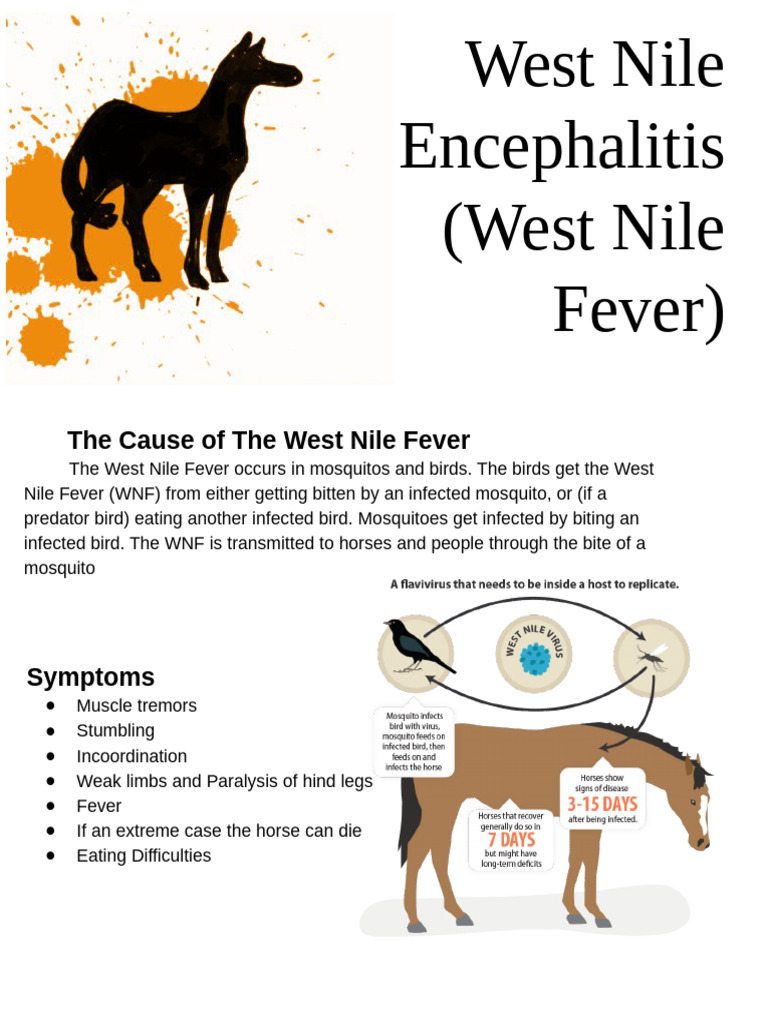 West Nile Virus | PDF