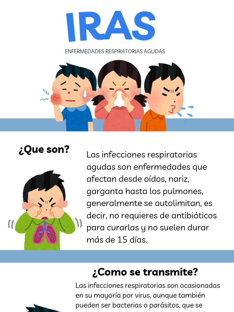 IRAS Presentacion | PDF