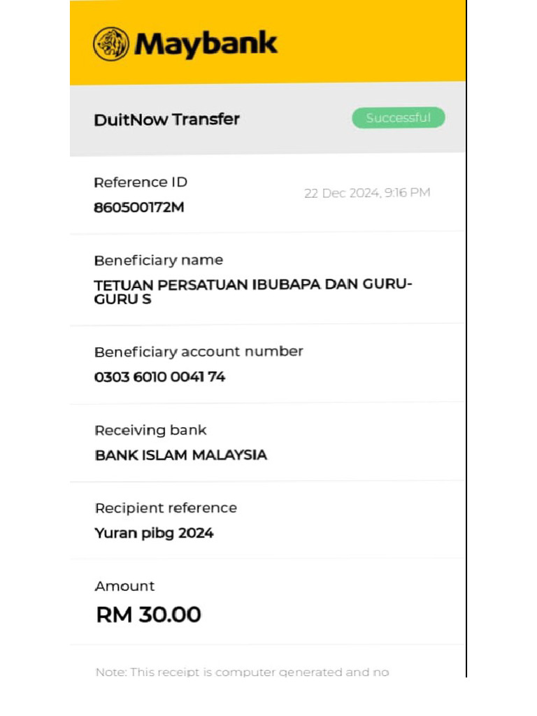 ACE Scanner_2024_12_25 | PDF