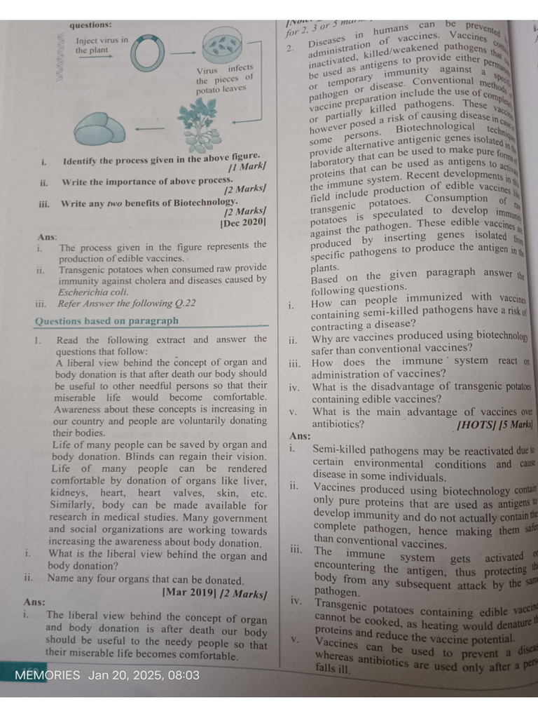 Target Notes 2025 | PDF