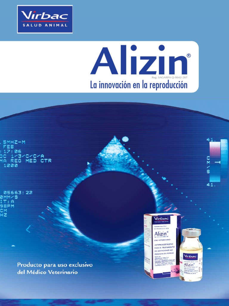 Alizin Folleto | PDF | El embarazo | Ginecología