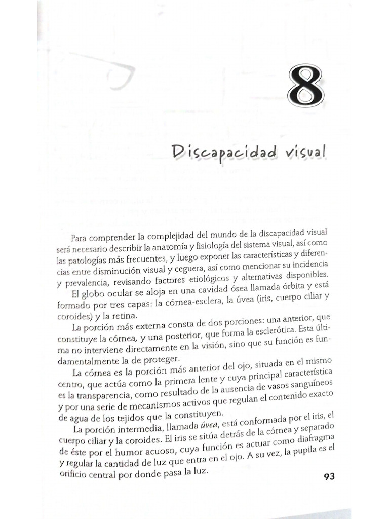 Discapacidad Visual | PDF