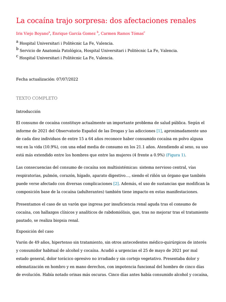 Es Articulo La Cocaina Trajo Sorpresa Dos Afectaciones Renales 472 PDF | PDF | Órgano (anatomía ...