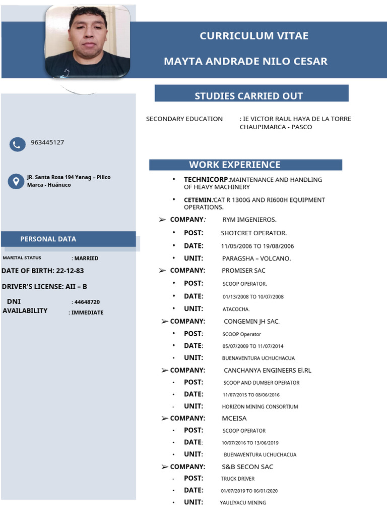 Cesar Curriculum | PDF