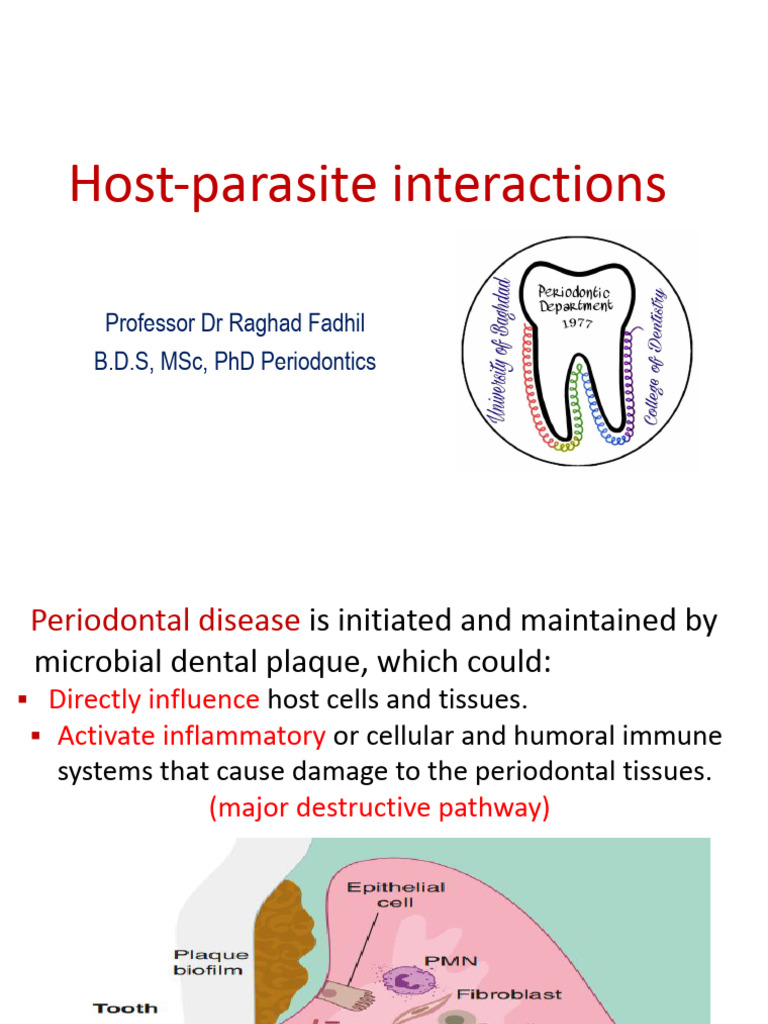Lec 7 Host-Parasite Interactions | PDF | Complement System | Immune System