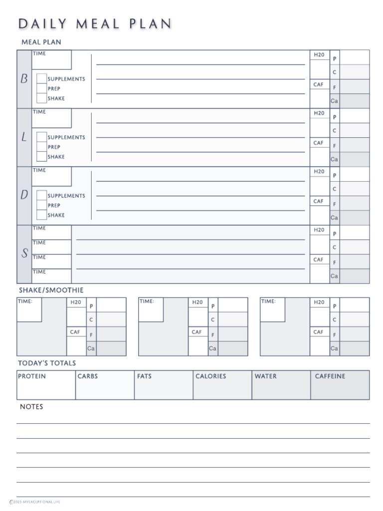 Daily Meal Plan | PDF