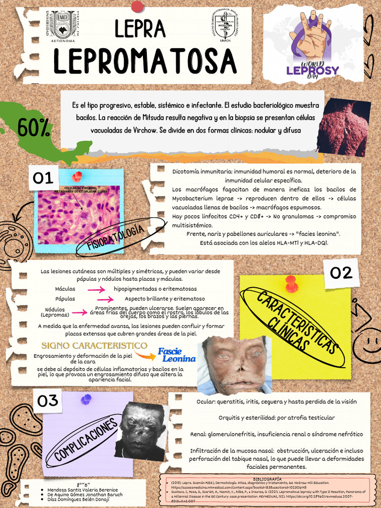 LEPRA LEPROMATOSA | PDF | Especialidades Medicas | Medicina CLINICA