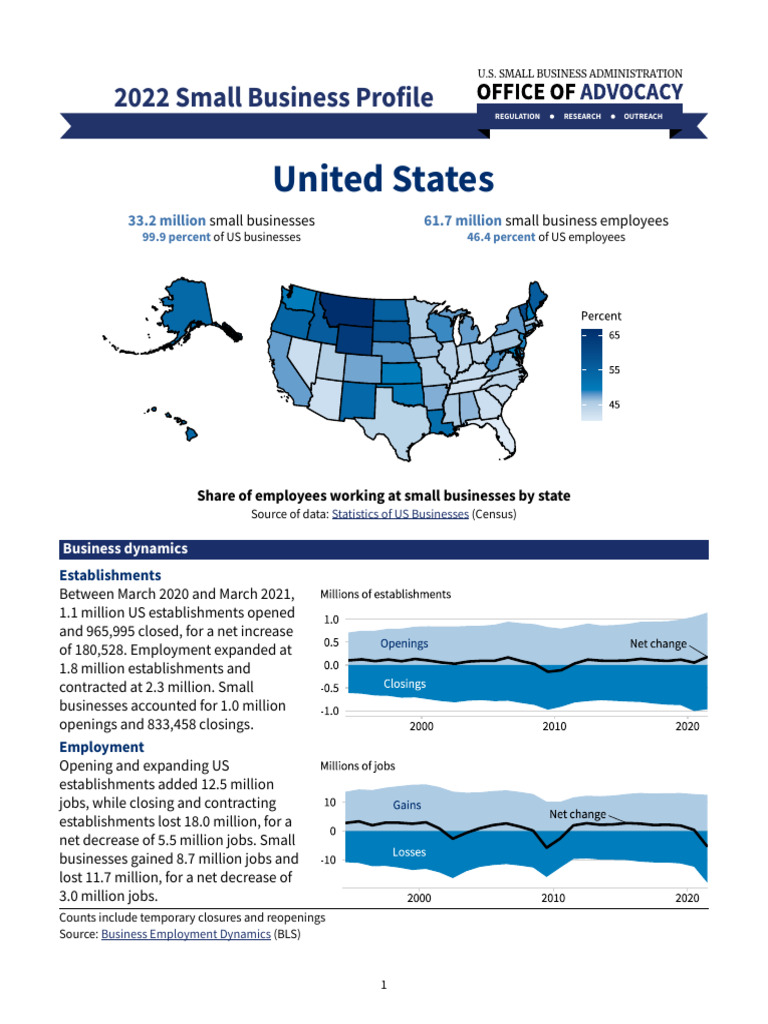 2022 U.S. Small Business Overview | PDF | Race And Ethnicity In The ...