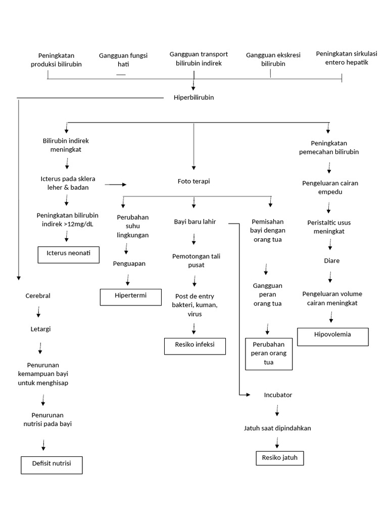 Pathway Hiperbilirubin | PDF