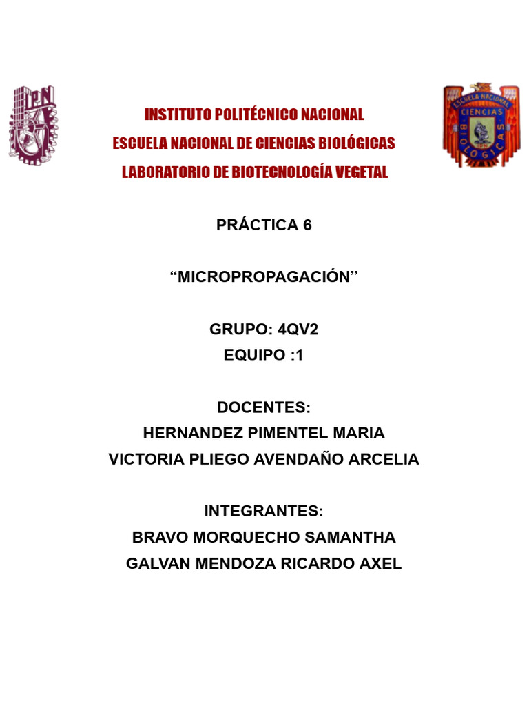 Micropropagación Eq1 4QV2 | PDF | Hormona Vegetal | Auxina