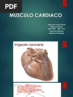 Importancia de la Contractilidad Cardíaca | PDF | Corazón | Músculo