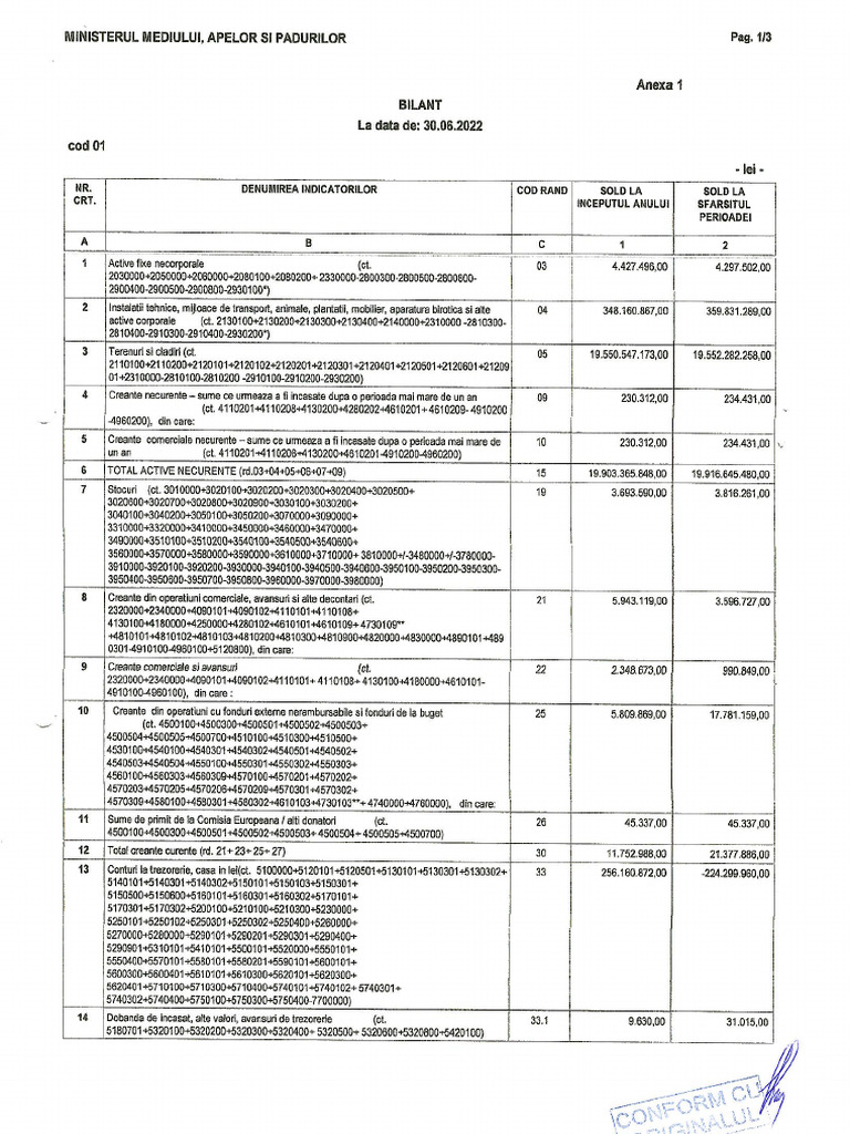 Bilant 30.06.2022 | PDF