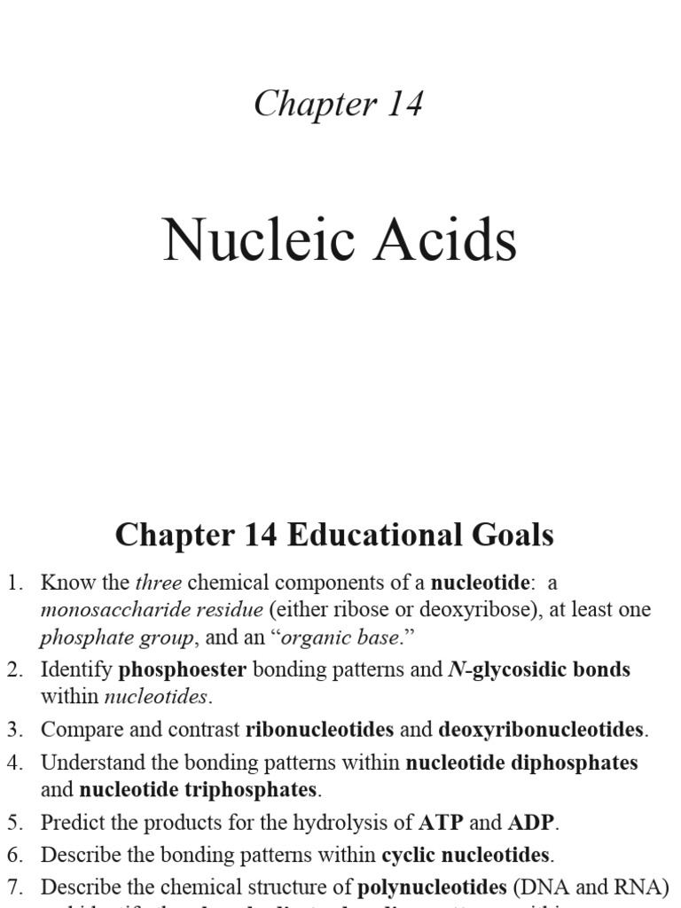 lecture14_nucleic_acids_ppt | PDF | Operon | Translation (Biology)
