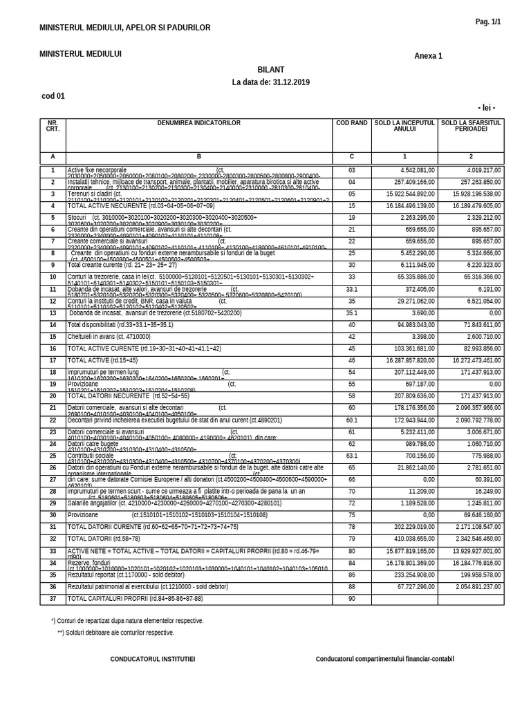 2019 Financial Statement Summary | PDF