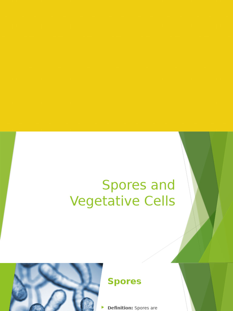 Spores vs. Vegetative Cells in Microbiology | PDF | Mycotoxin | Fungus