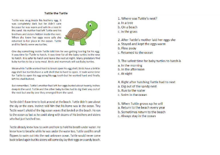 Tuttle Turtle | PDF