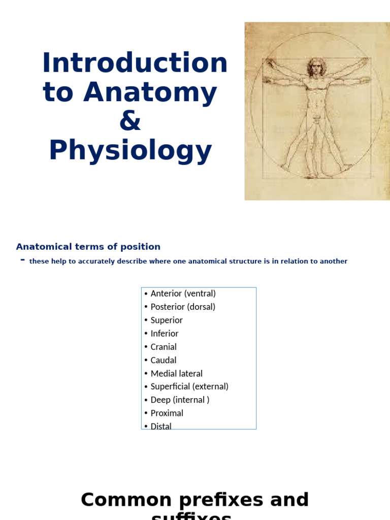 Introduction To Anatomy and Physiology | PDF