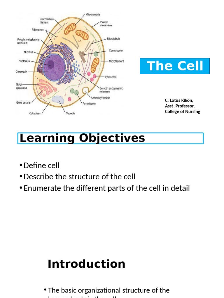 Understanding Cell Structure and Functions | PDF