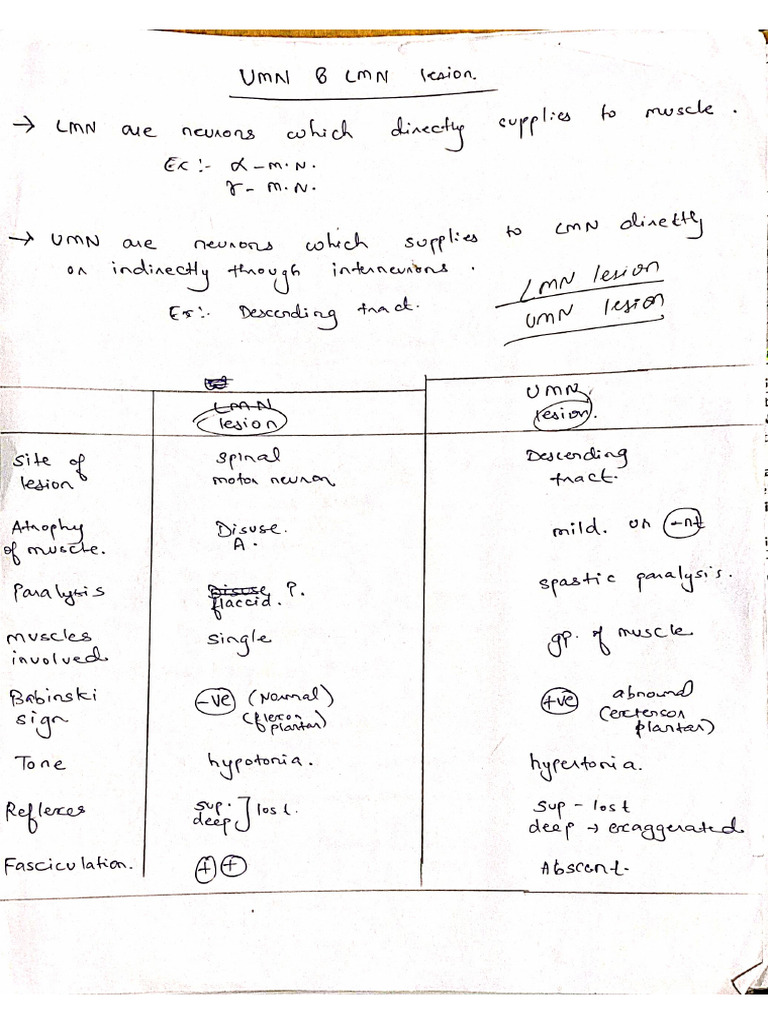 Umn & LMN Lesion | PDF