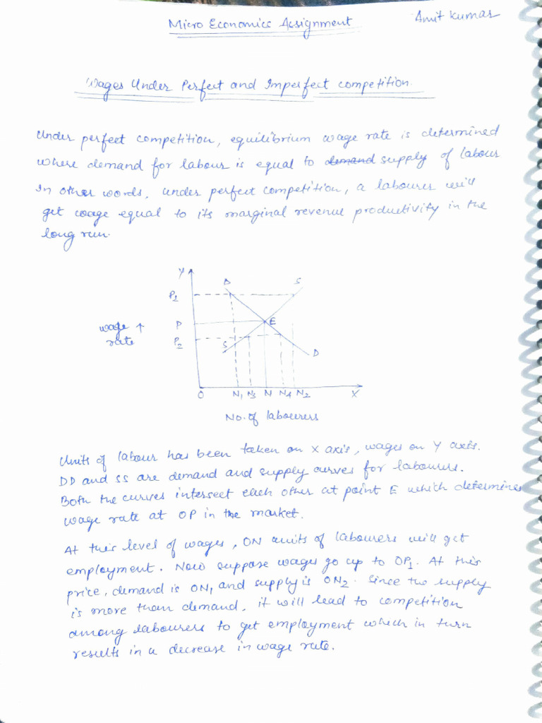 Labor Market Dynamics and Competition | PDF