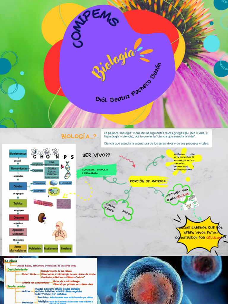 COMIPEMS BIO 1_20240227_092425_0000 | PDF | Organismos | Ecología