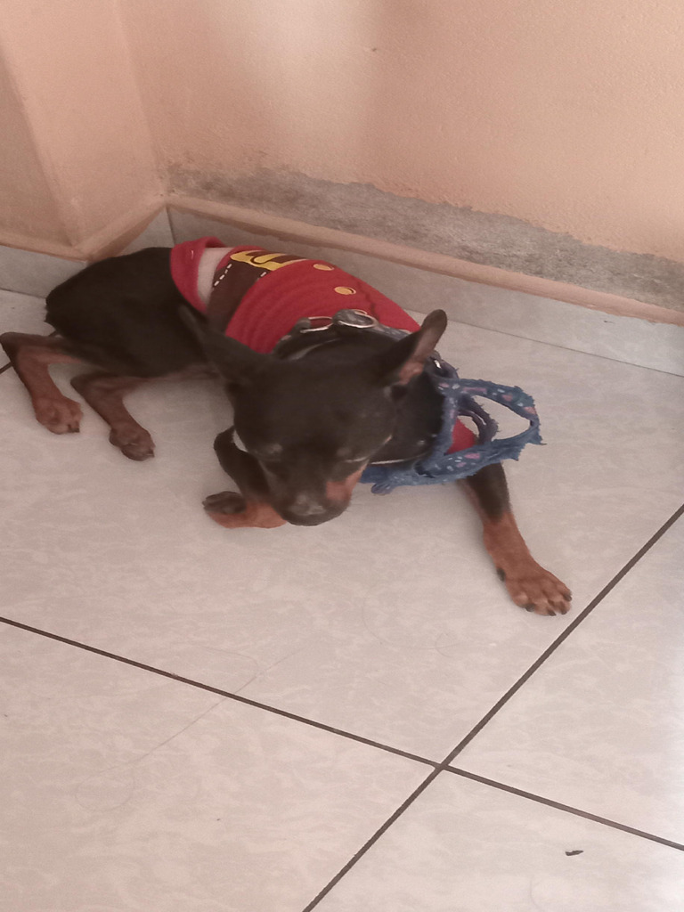 Scan 20 Ene 25 00 35 45 1 | PDF