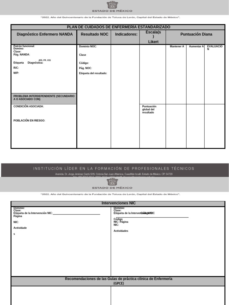 Formato Place 2022 Estandarizado | PDF