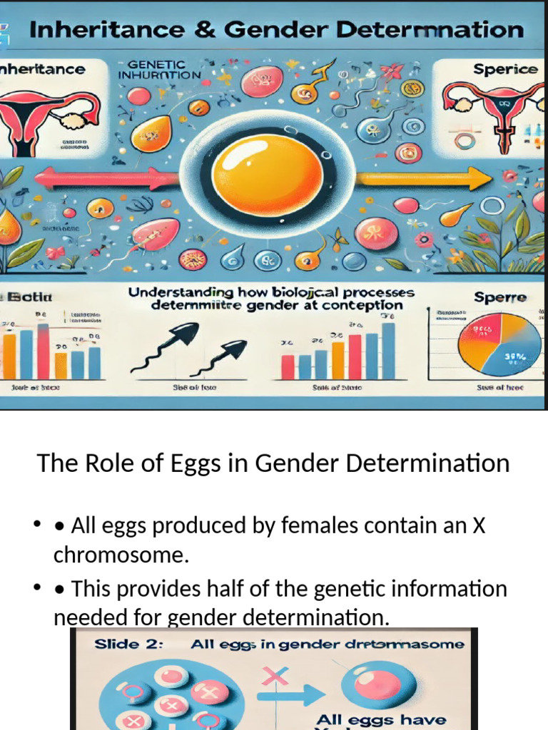 Inheritance and Gender Determination | PDF