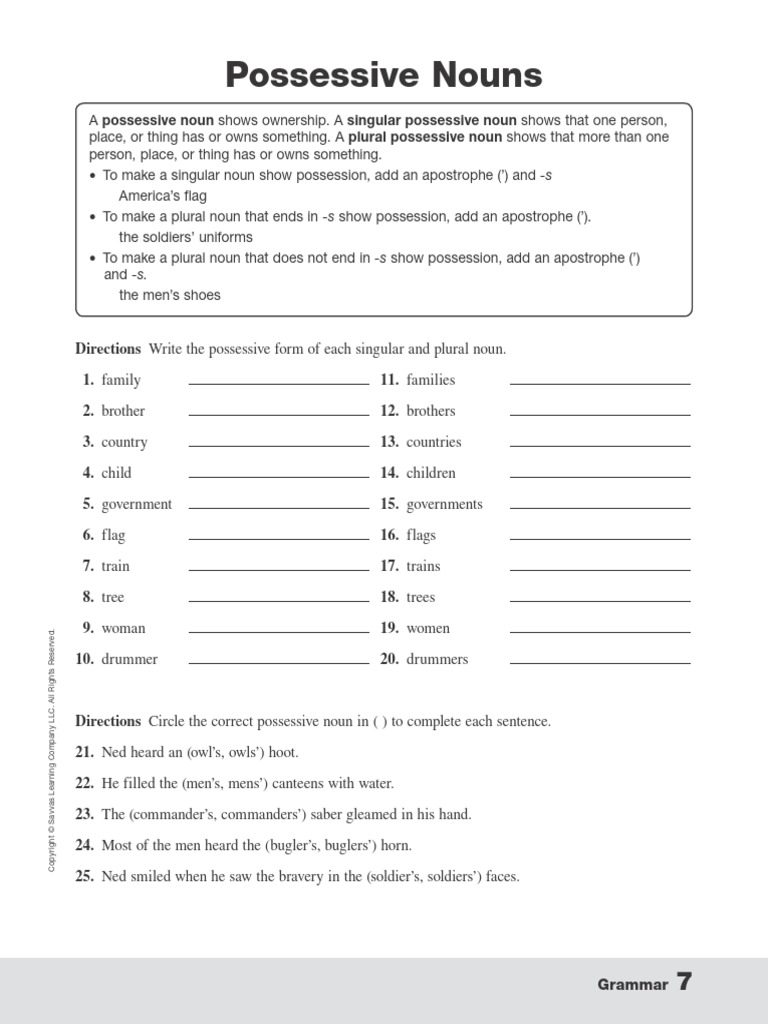 Grammar 7 Possessive Nouns | PDF | Plural | Noun