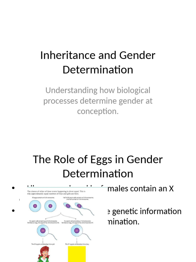 Inheritance and Gender Determination | PDF
