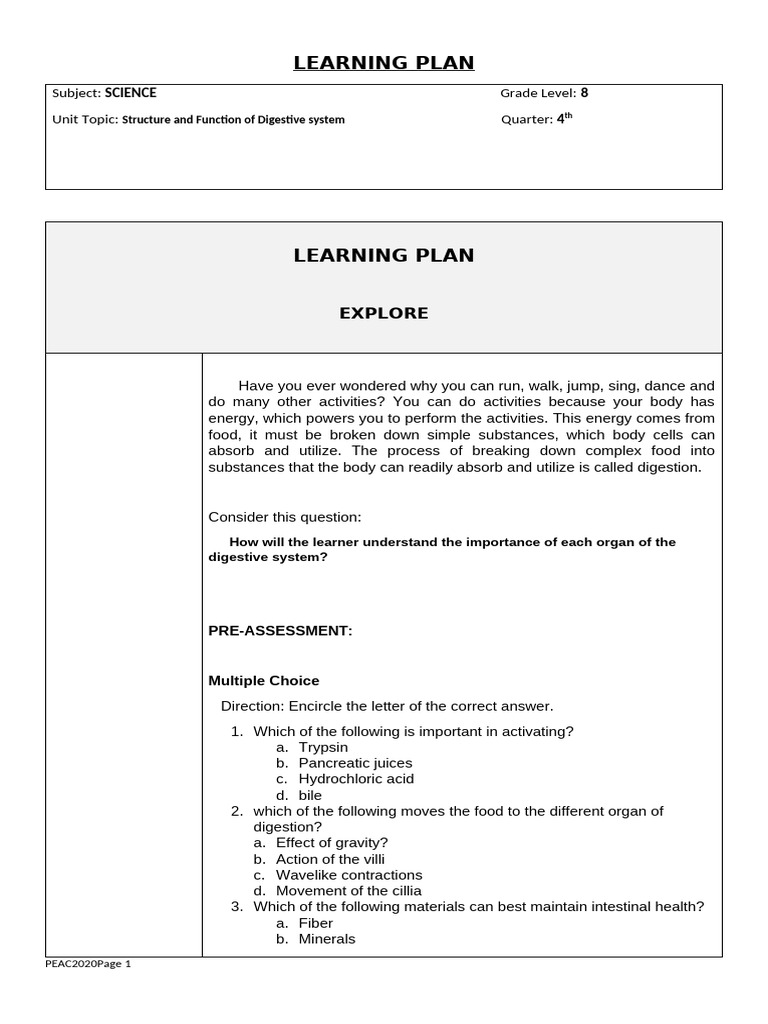 8th Grade Digestive System Learning Plan | PDF | Digestion | Human ...